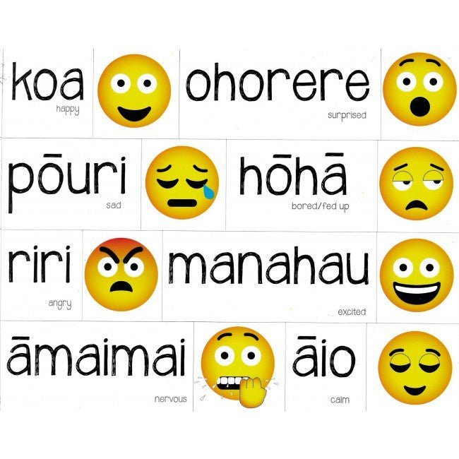 Learning Toolbox Magnets / Feeling in Te Reo Maori – Shoppington