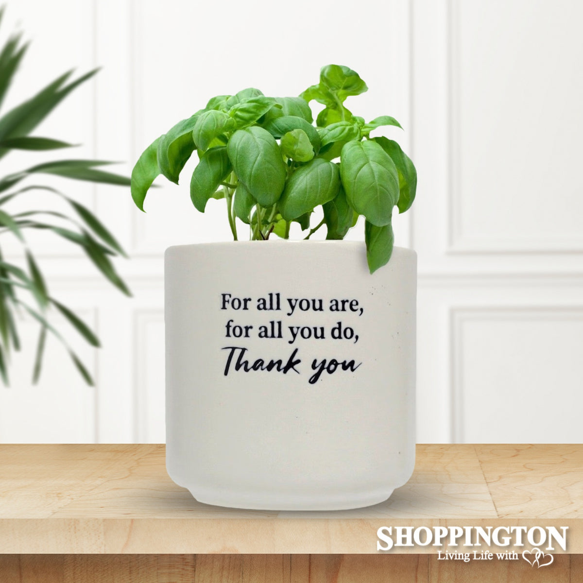 Positive Pots - Thank You – Shoppington
