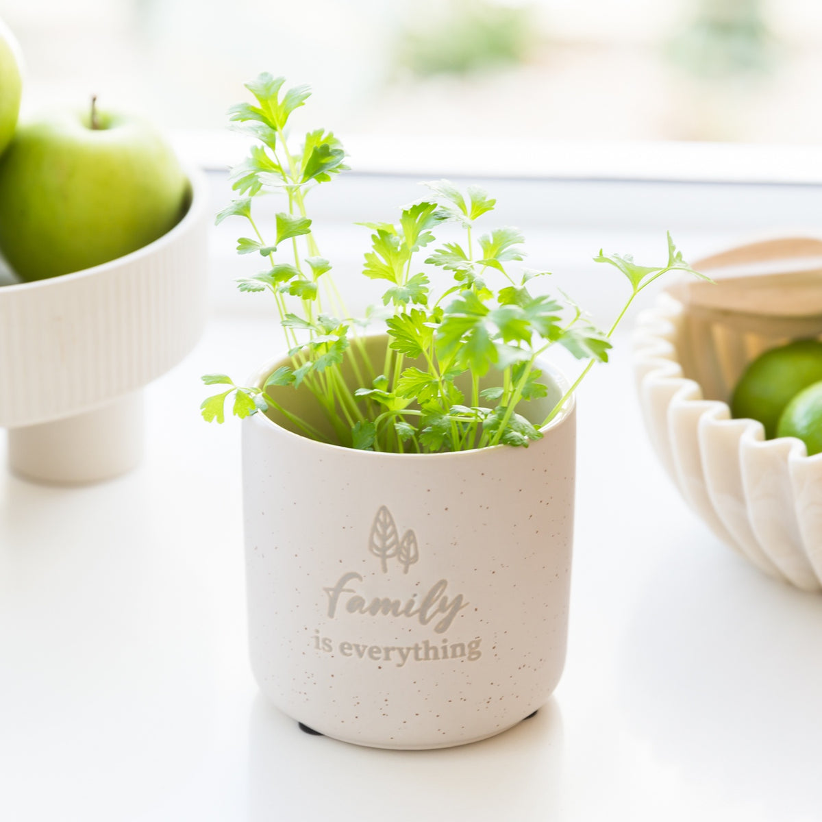 Positive Pots - Family Is Everything – Shoppington